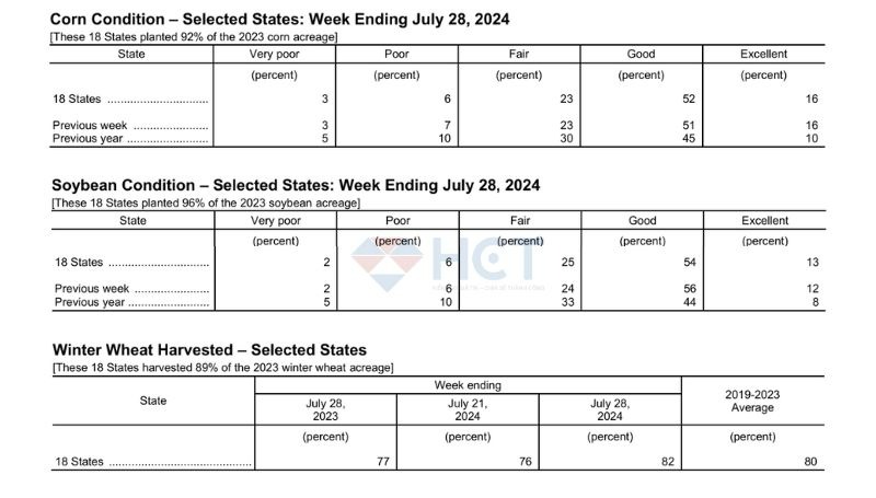 Giá ngũ cốc trên sàn CBOT giảm trước triển vọng thời tiết và báo cáo mới của USDA | HCT